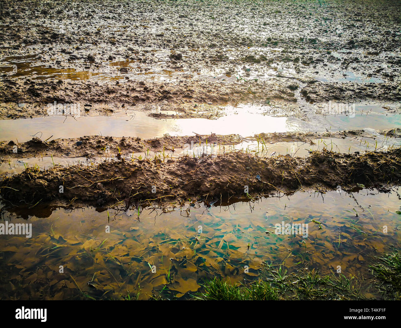 Flooding from heavy rain hi-res stock photography and images - Alamy
