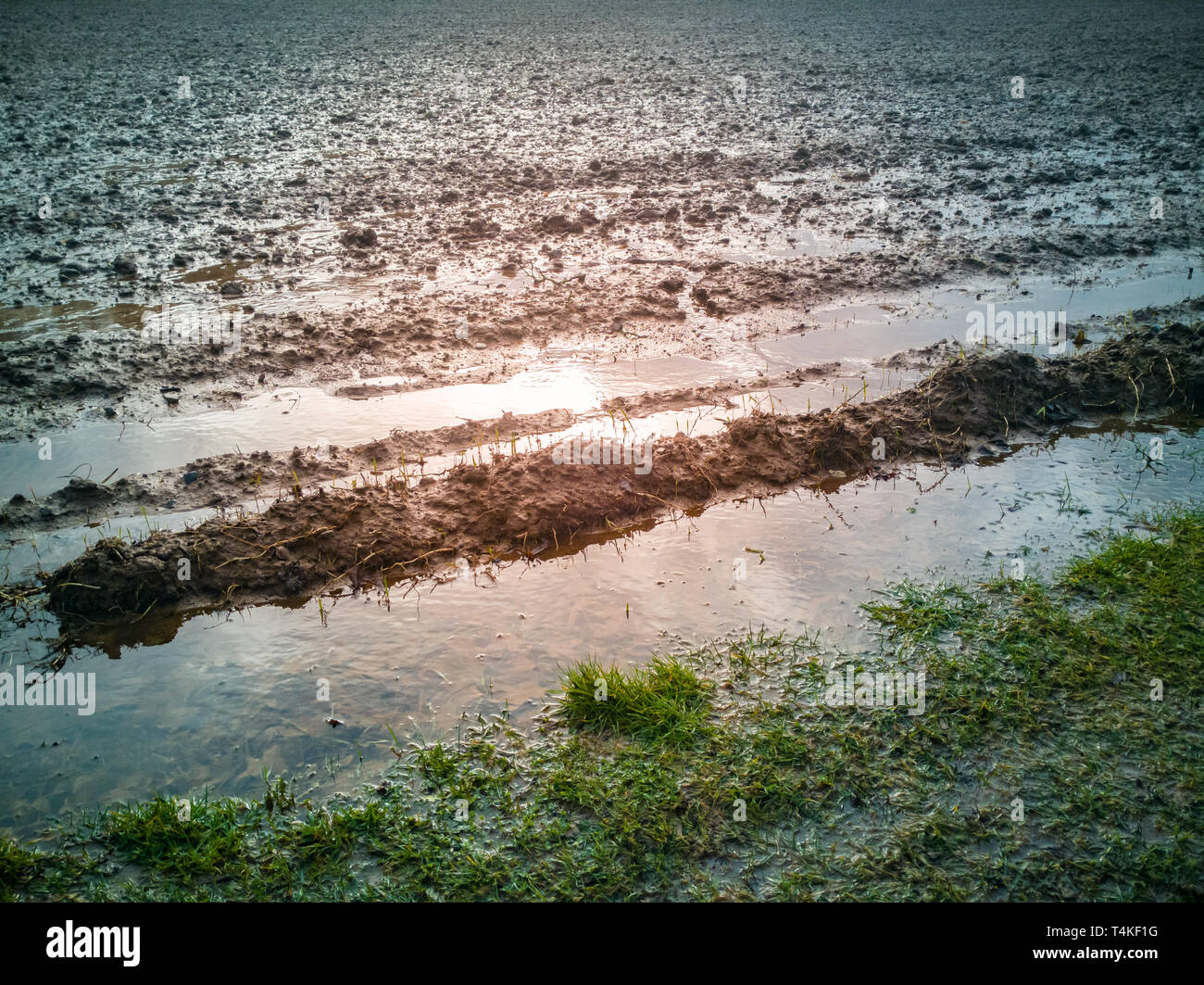 Flooding from heavy rain hi-res stock photography and images - Alamy