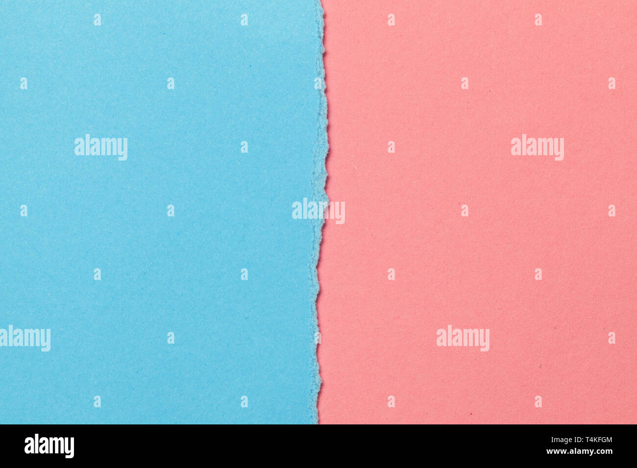 Blue and pink paper background are divided vertically in half. Concept ...