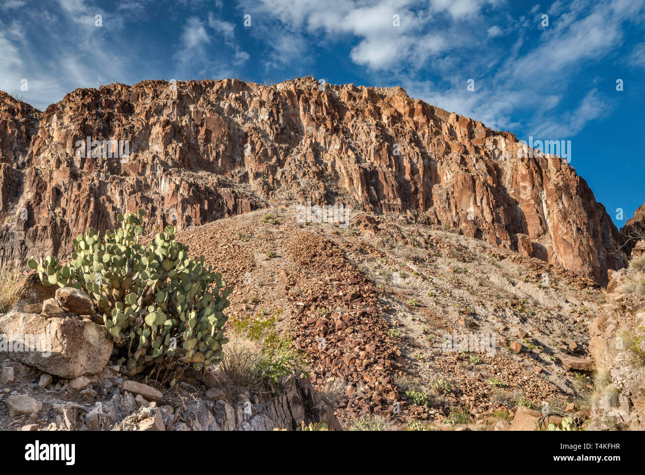 Volcanic cliffs, scree, over River Road in Big Bend Ranch State Park ...