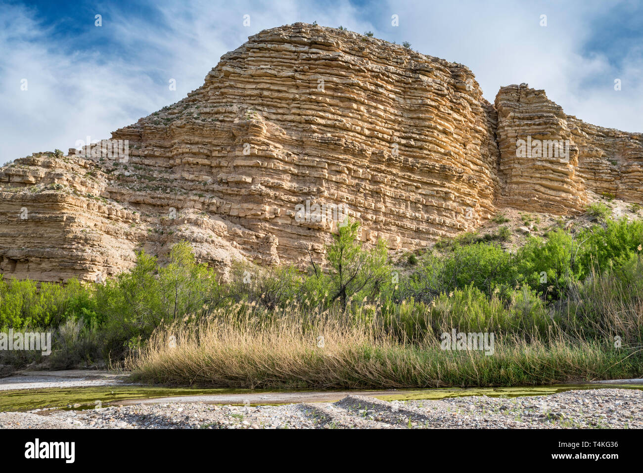 Limestone and shale layers of Boquillas Formation over small stream ...