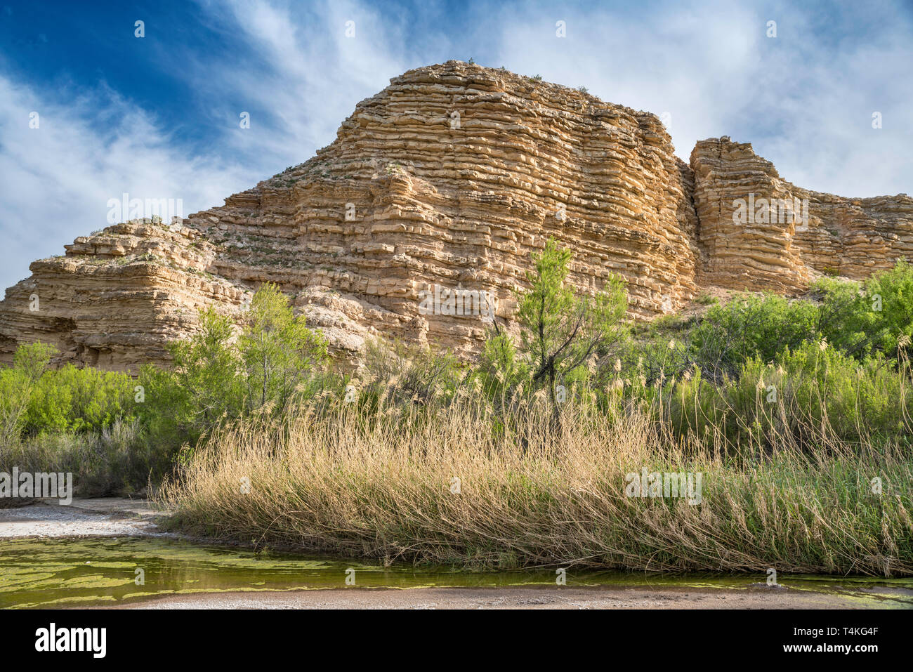 Limestone and shale layers of Boquillas Formation over small stream ...
