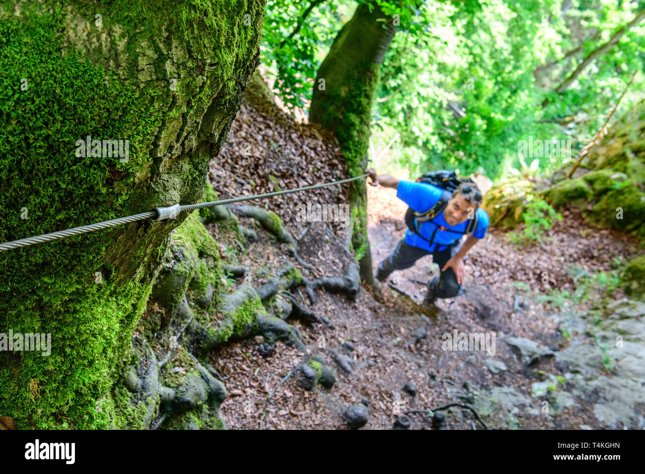 Steep path in forest hi-res stock photography and images - Alamy