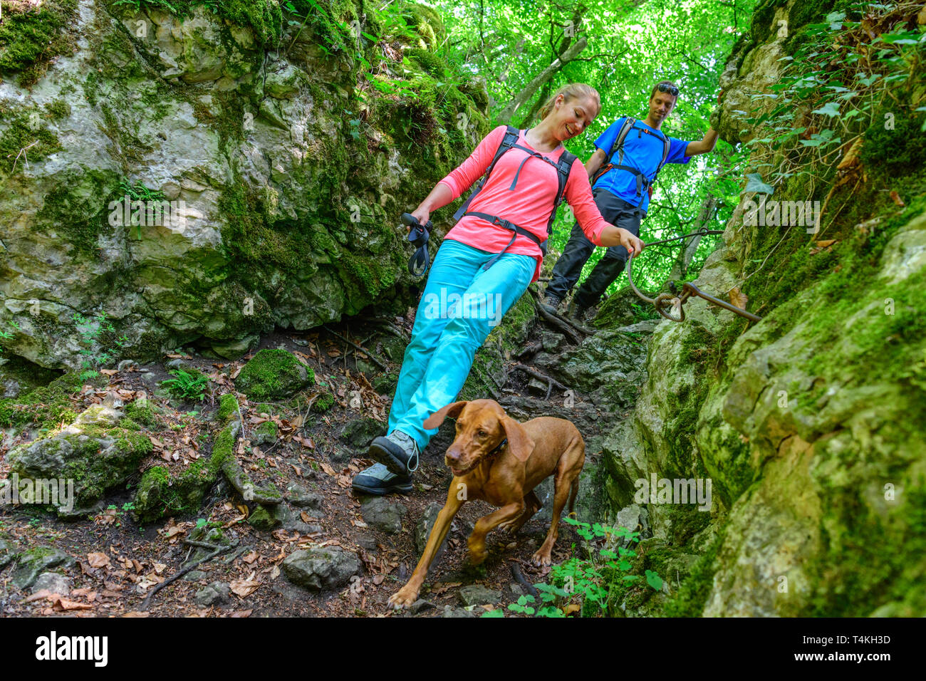 Rooty hi-res stock photography and images - Alamy