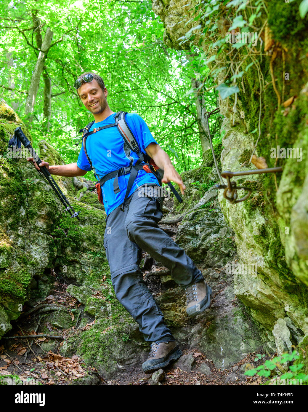 Good-humoured man hiking on rooty foot path in forest Stock Photo - Alamy