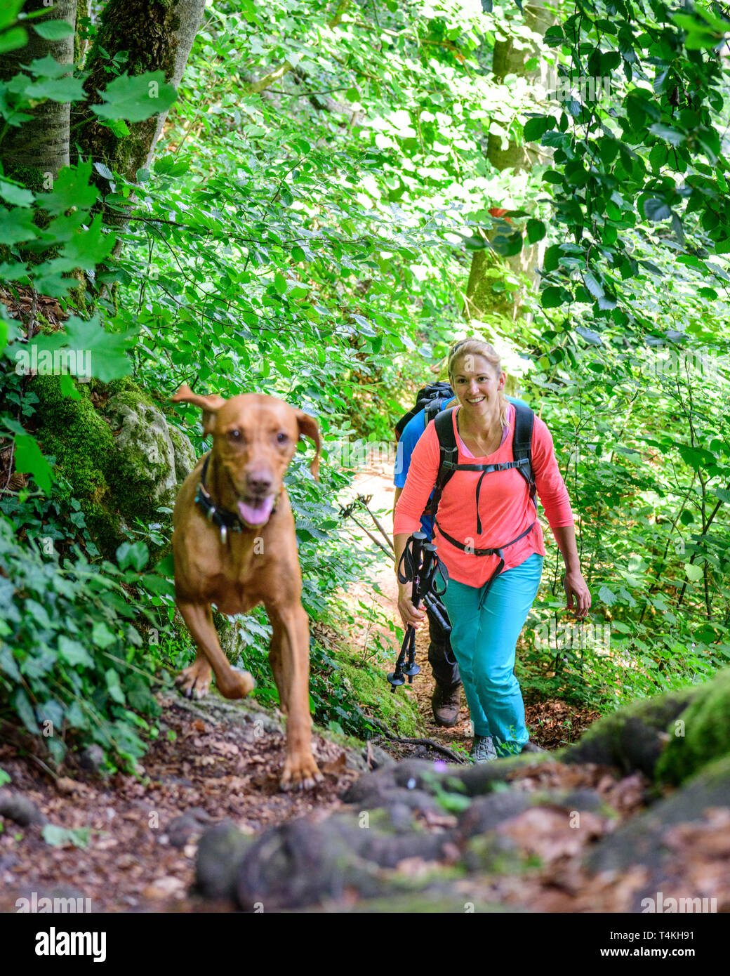 Root path hi-res stock photography and images - Alamy