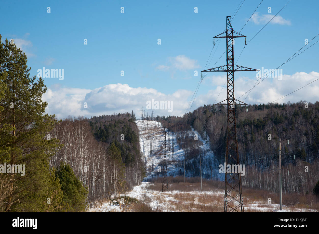 Electricity in the forest hi-res stock photography and images - Alamy
