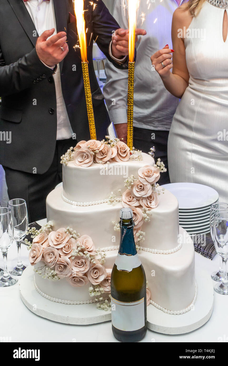 Champagne wedding cake 60 photos - Astyledwedding.com