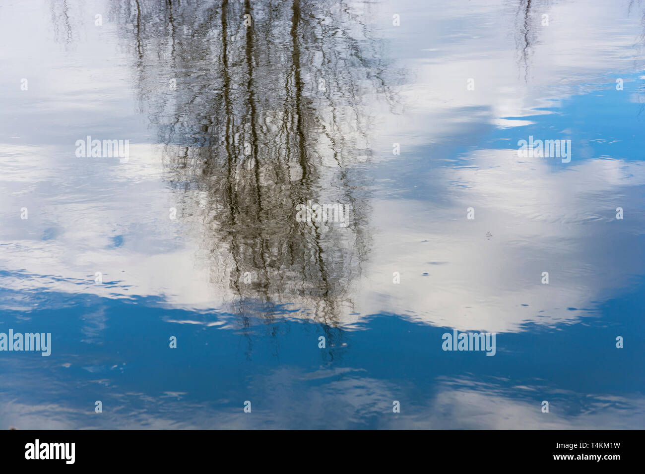 Beautiful abstract reflection of trees in the blue mirror surface of ...