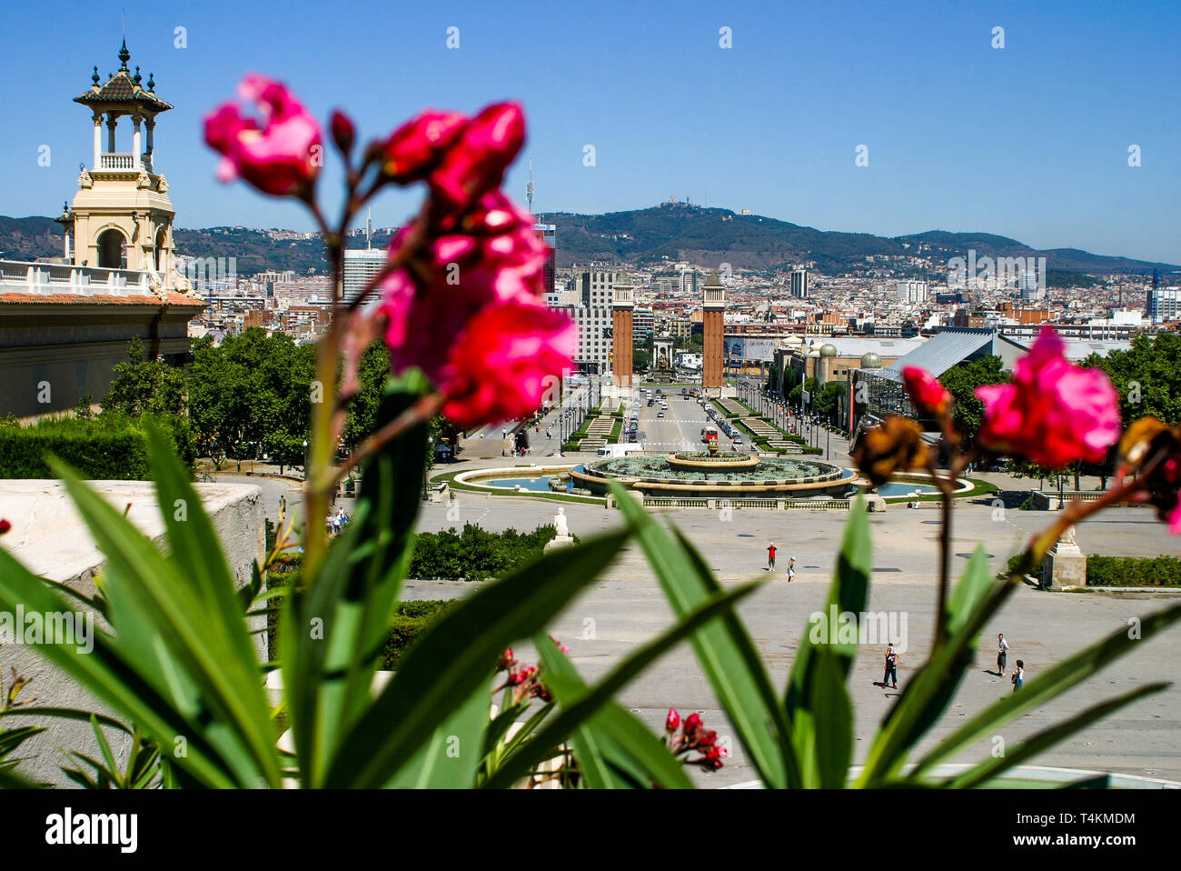 Spain square, Barcelona, Catalonia, Spain Stock Photo - Alamy
