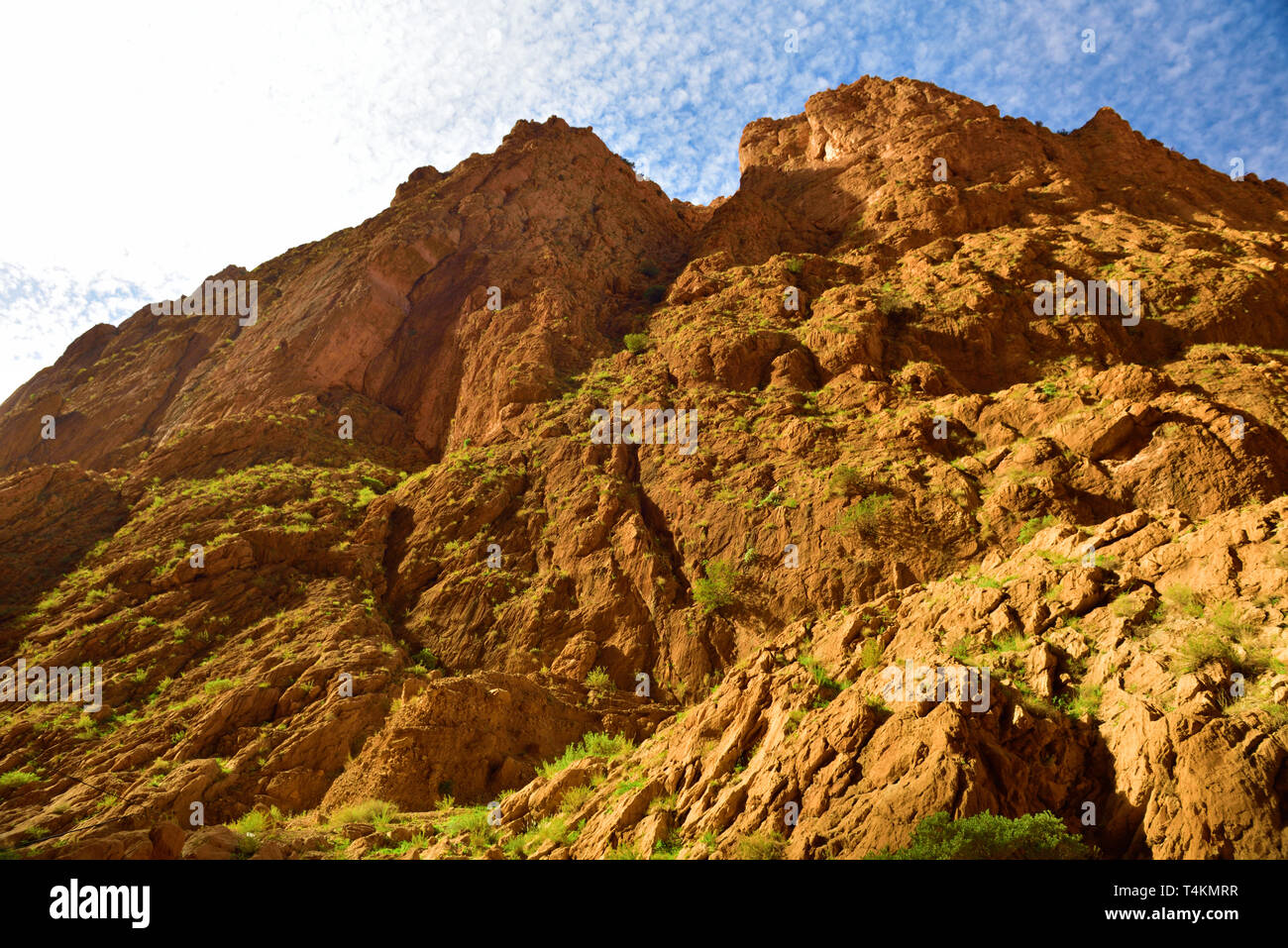 The massive fault dividing the High Atlas mountains; Todra Gorge- the ...