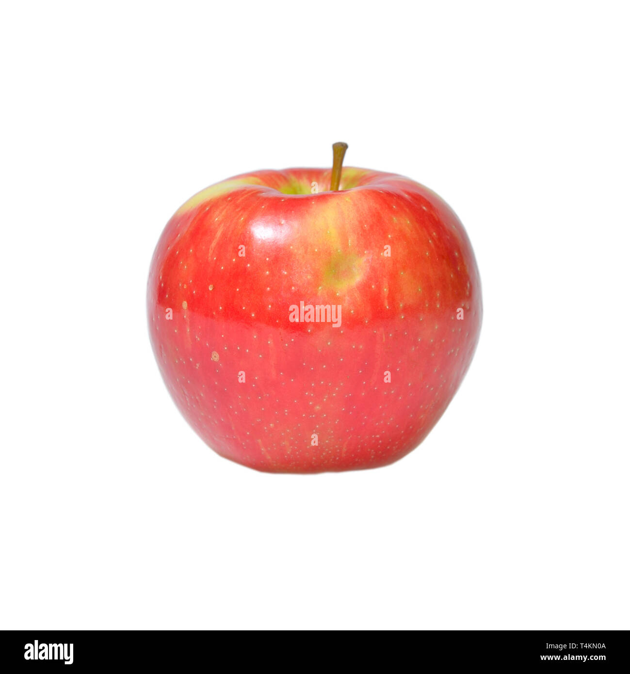 Fruit of the apple hi-res stock photography and images - Alamy