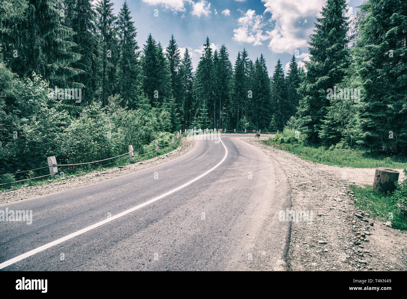 Forest road through mountains hi-res stock photography and images - Alamy