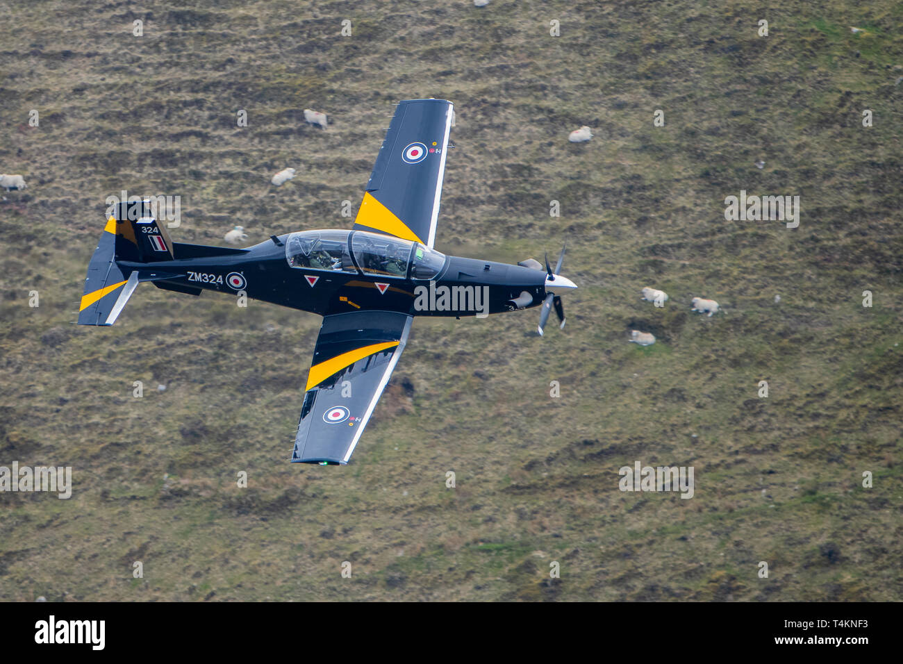 RAF T6 Texan takes a training flight through Mach Loop, Wales, UK at ...