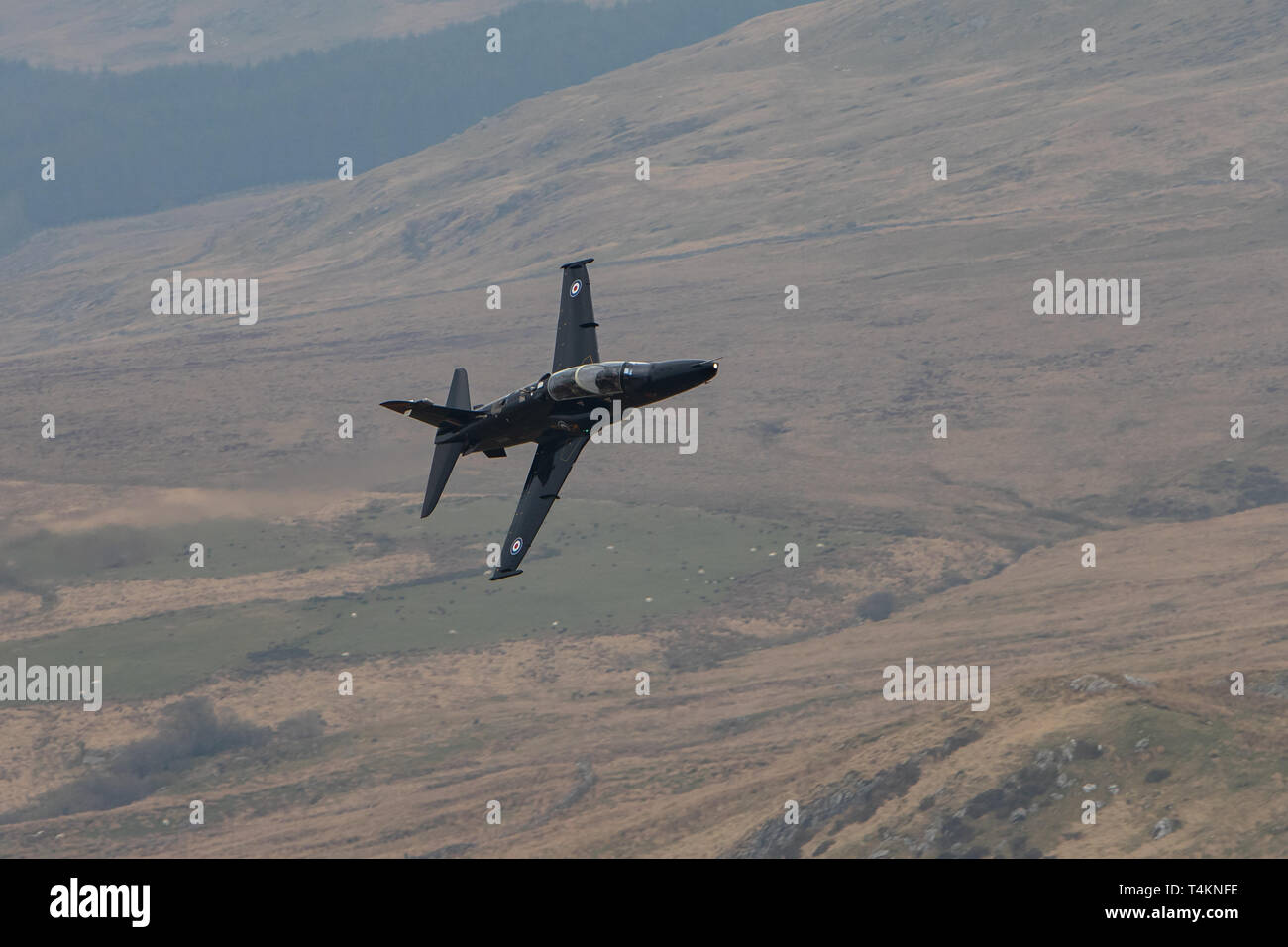 An RAF Hawk makes a training light through Mach Loop, Wales, UK Stock ...