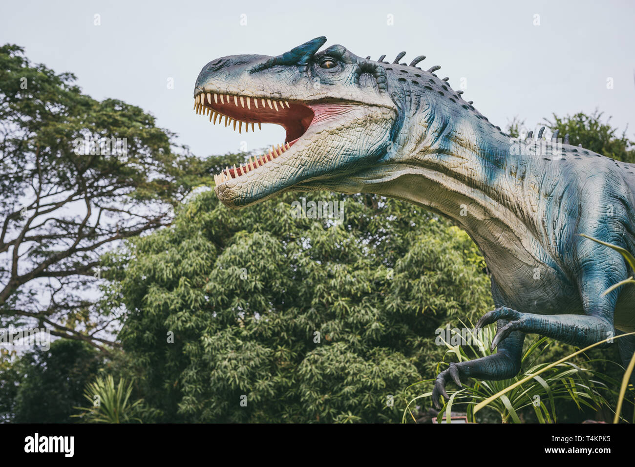 Tyrannosaurus - prehistoric era dinosaur. Adventure park Stock Photo ...