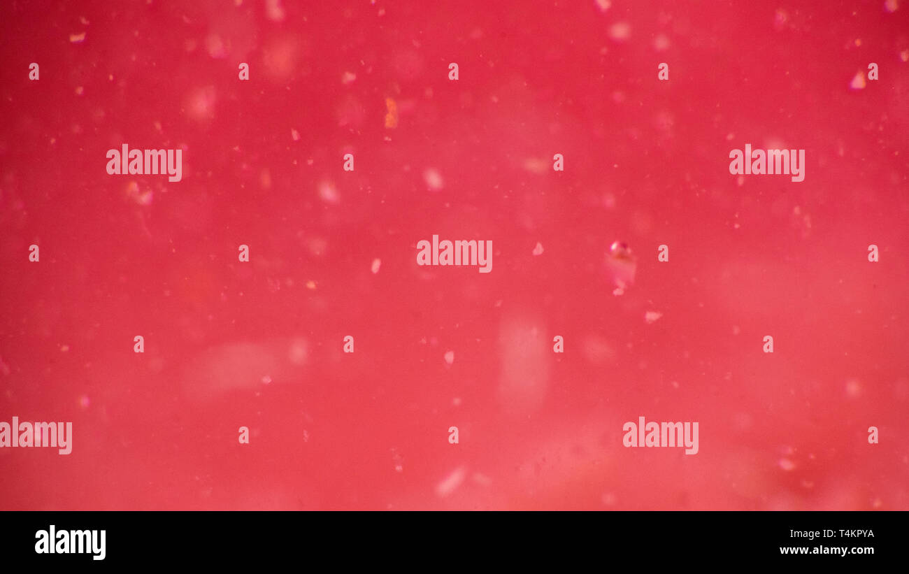 Bio ultra macro background. Look at organic objects under magnifier ...