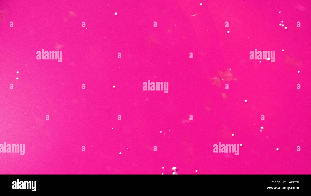 Bio ultra macro background. Organic vegetable background with a big ...