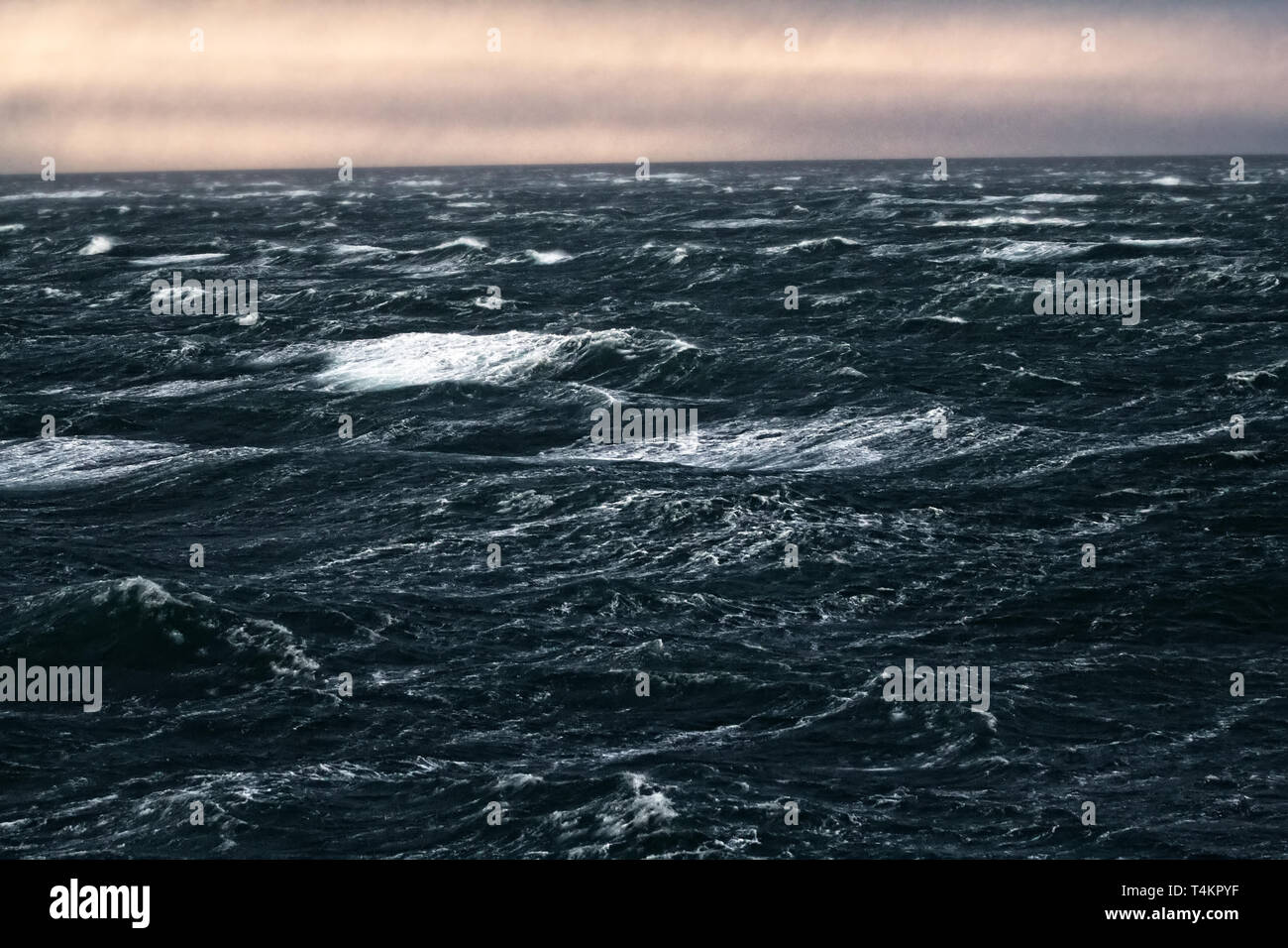 Kara sea (basin of Arctic ocean) in high Arctic (Novaya Zemlya ...