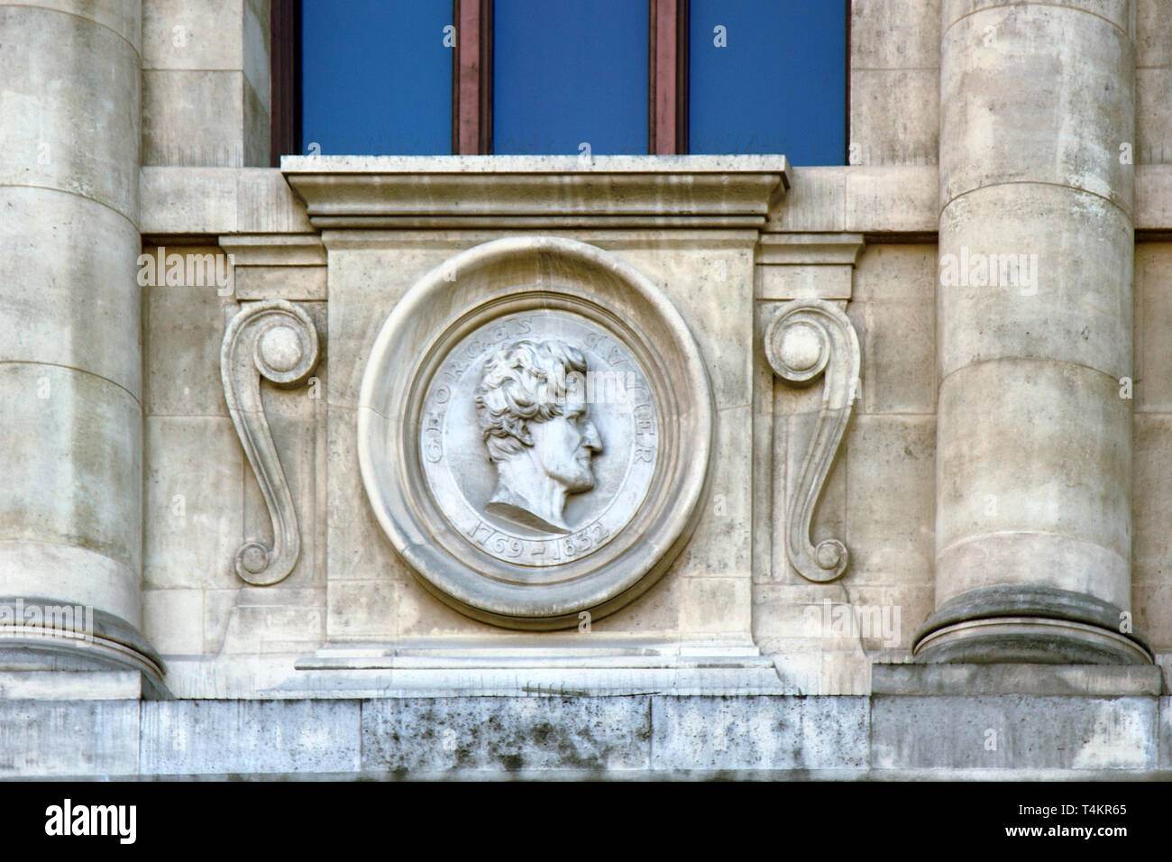 Ancient bas-reliefs on the Windows and walls of historical buildings ...