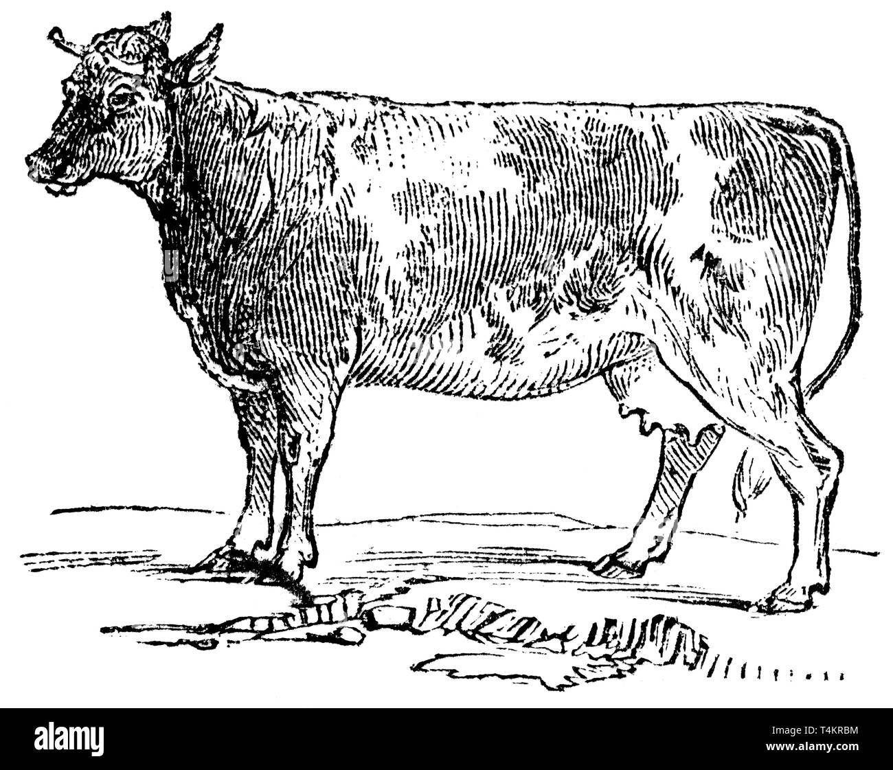 Drawing channel Cut Out Stock Images & Pictures - Alamy