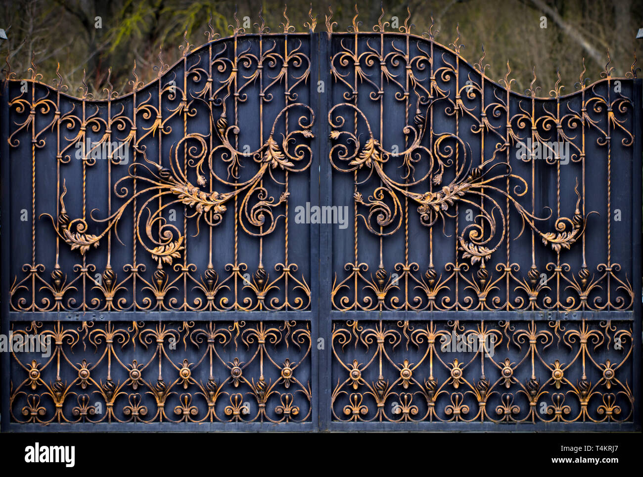 magnificent wrought-iron gates, ornamental forging, forged elements ...