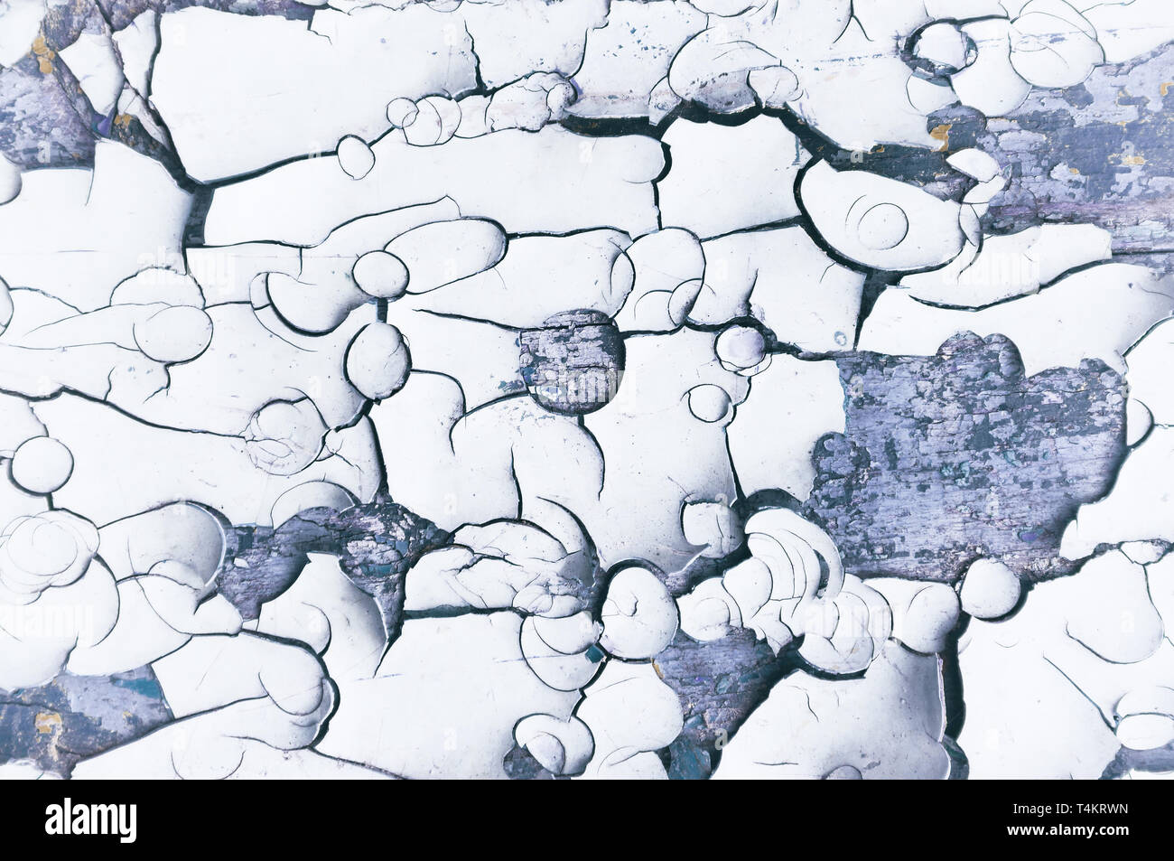 Peeling paint, texture background of light purple peeling paint on the ...