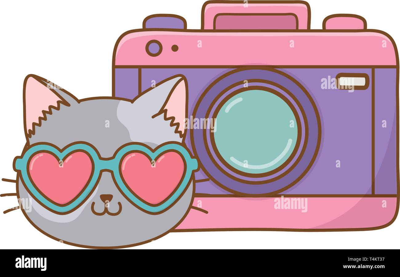 cat and photographic camera icon cartoon vector illustration graphic ...