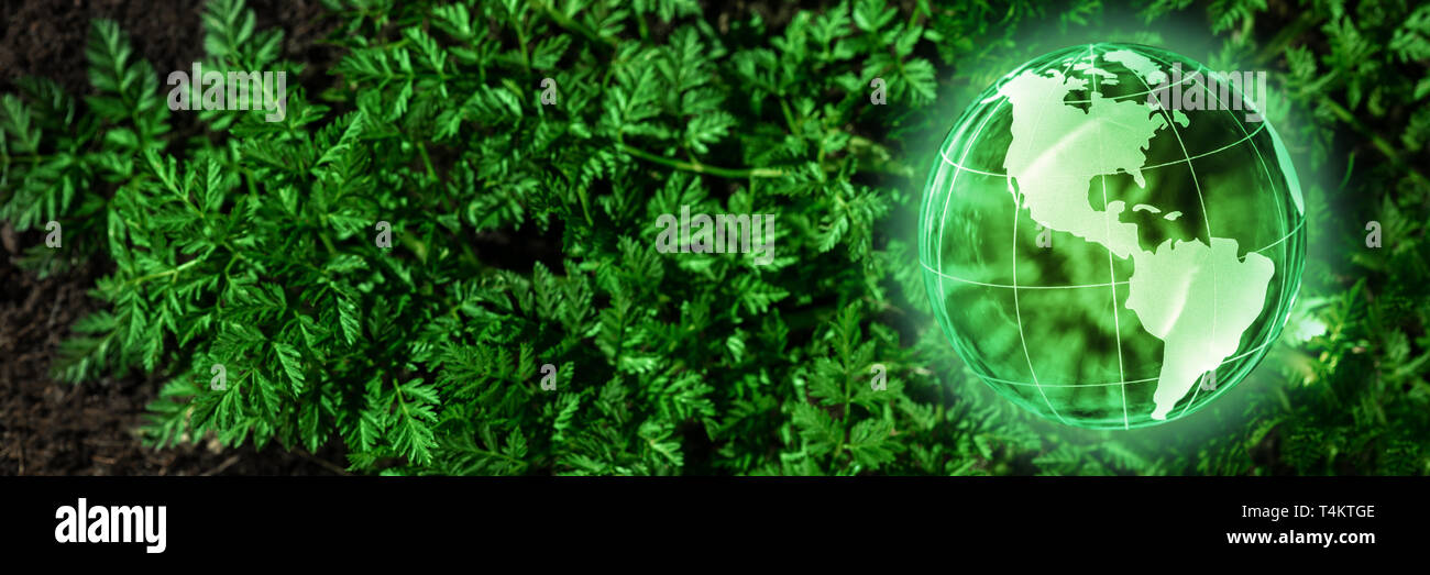 Sustainable green environment hi-res stock photography and images - Alamy
