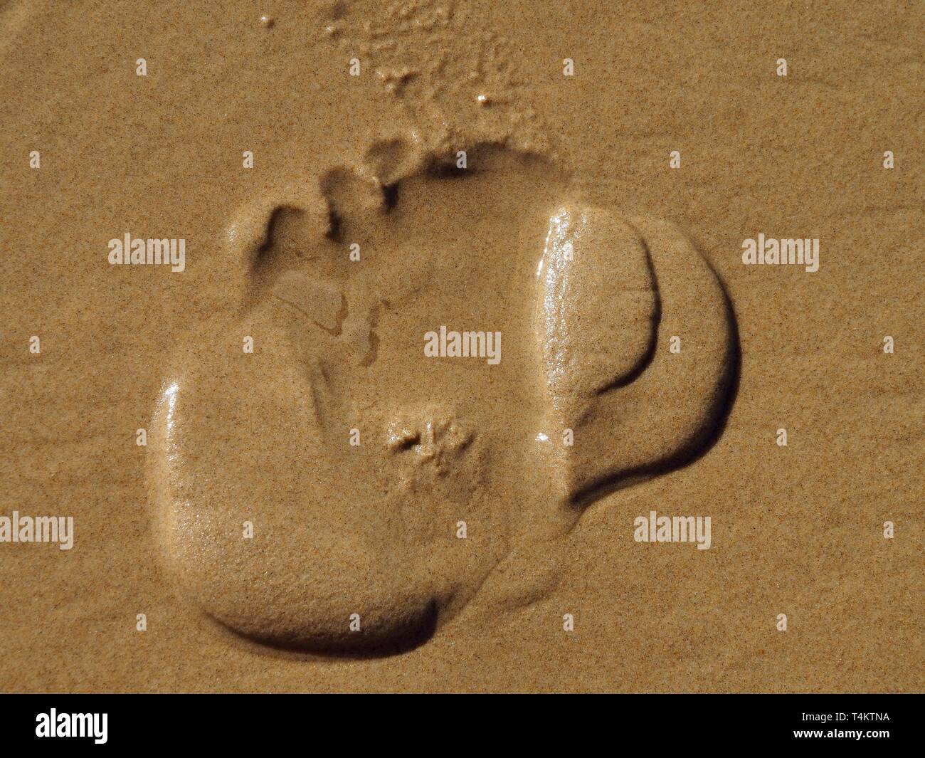 Scquelchy hi-res stock photography and images - Alamy