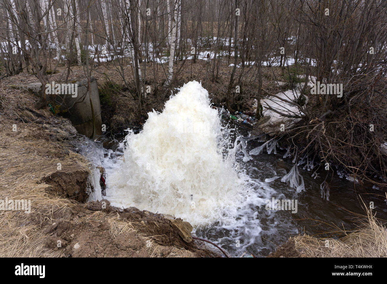 Big raindrops fall on the ground tree, shrub Stock Photo - Alamy