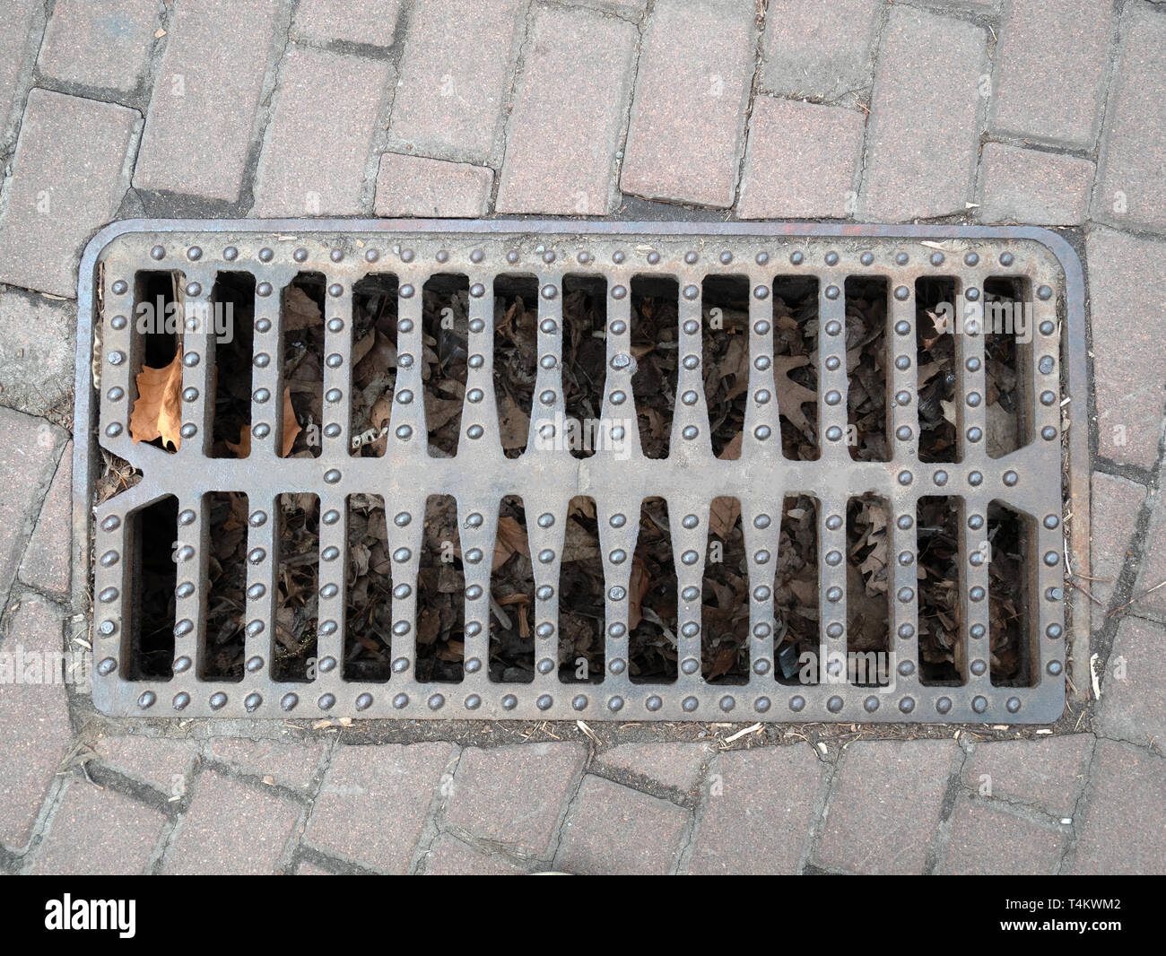 closeup metallic grid of sewage drainage system on a sidewalk. view ...