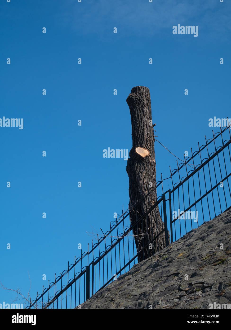 Cutted lumber hi-res stock photography and images - Alamy