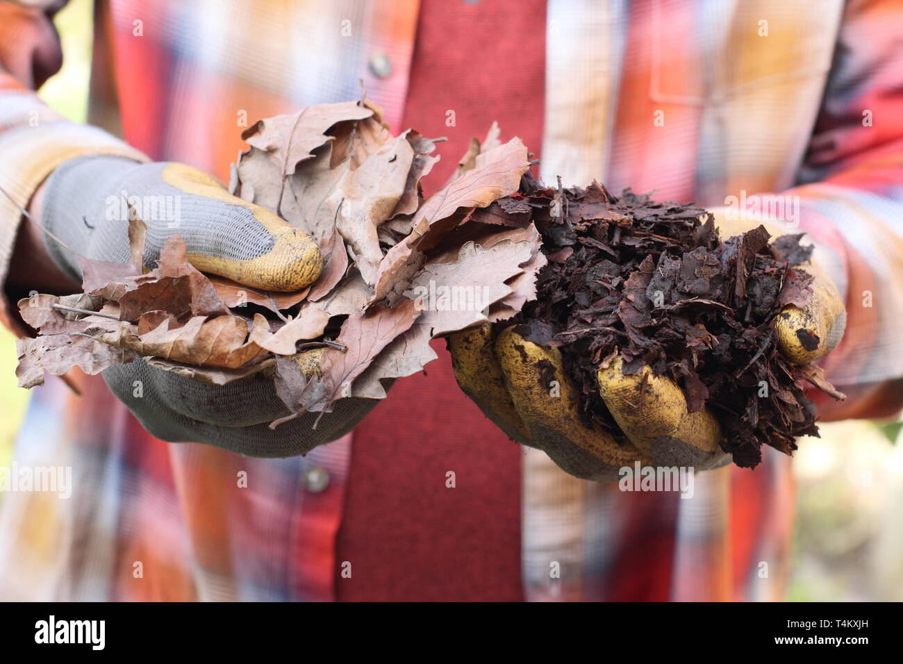 Before and after hi-res stock photography and images - Alamy