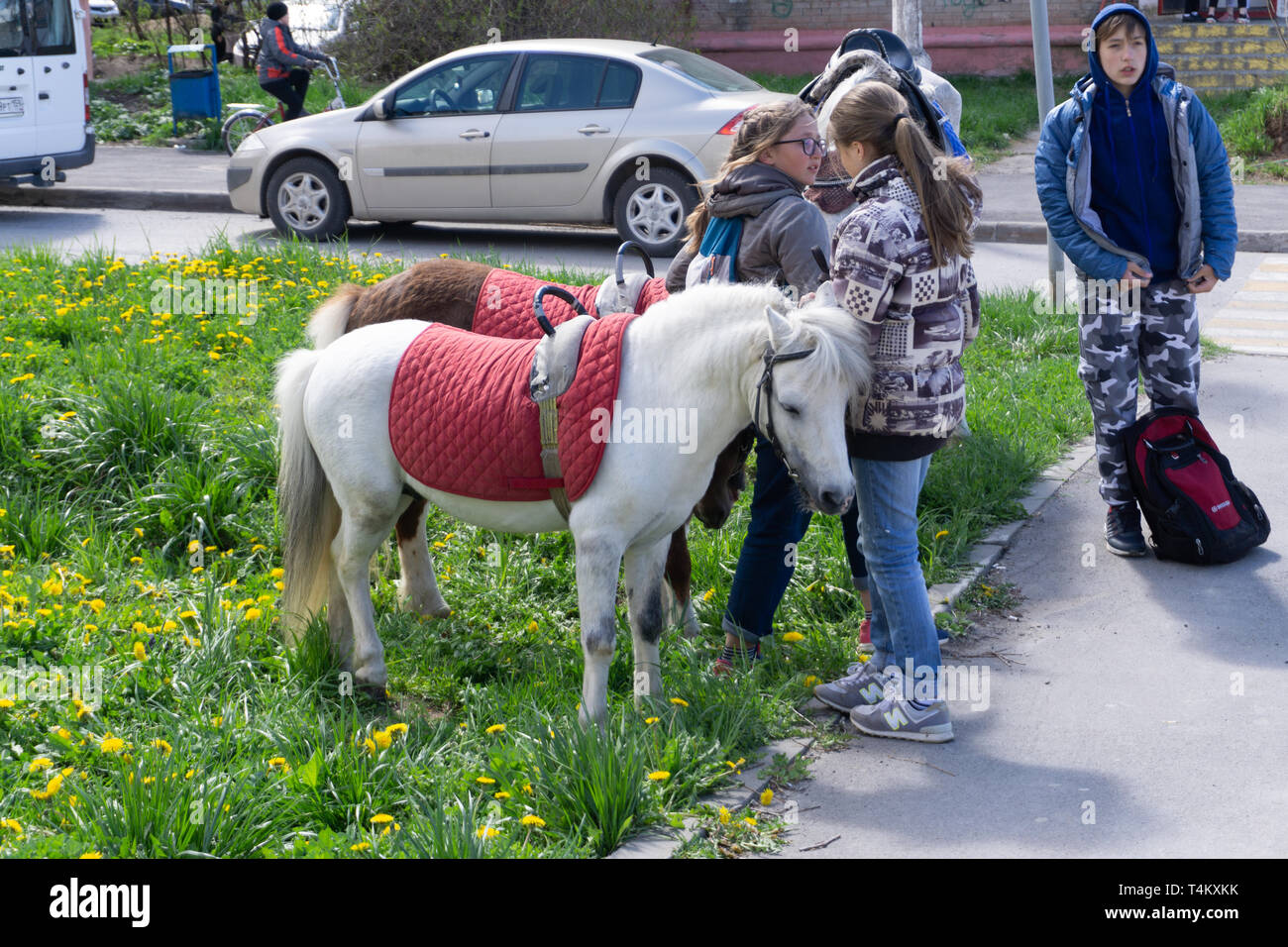 Kids riding pony in the Alps mountains. Family spring vacation on horse ...