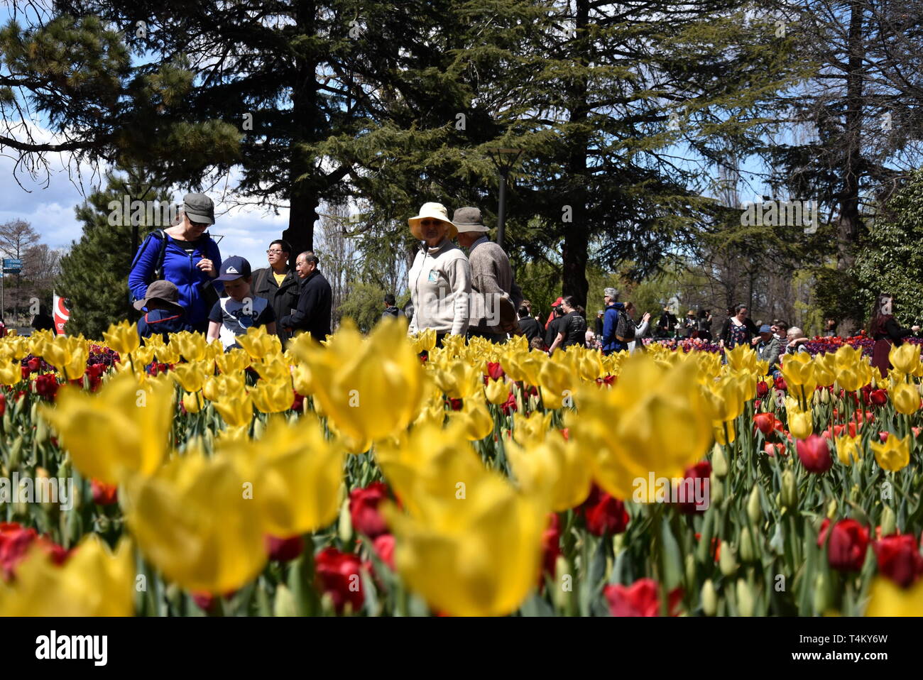 Floriade canberra hi-res stock photography and images - Alamy