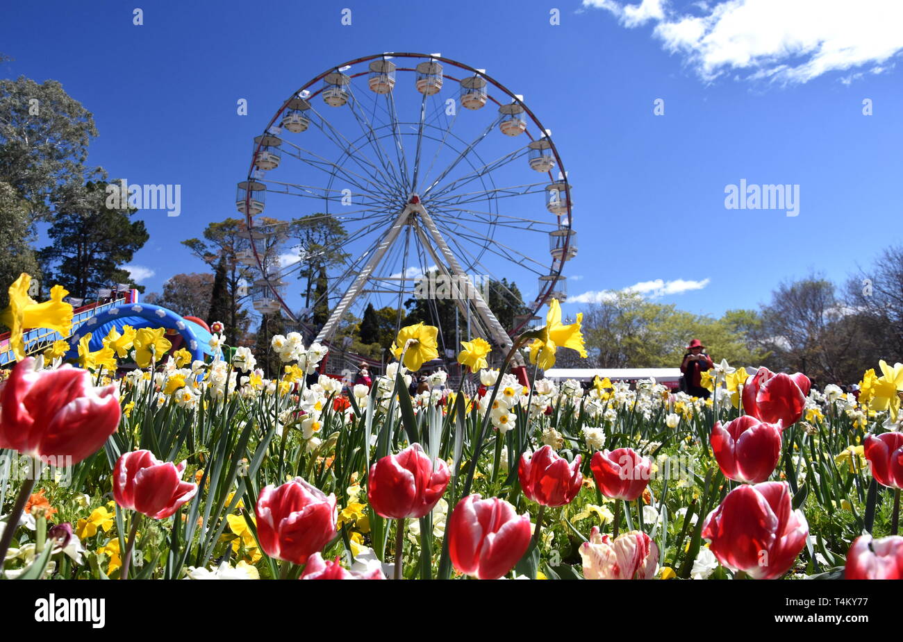 Canberra, Australia - Sept 29, 2018. Ferris wheel at the Spring ...