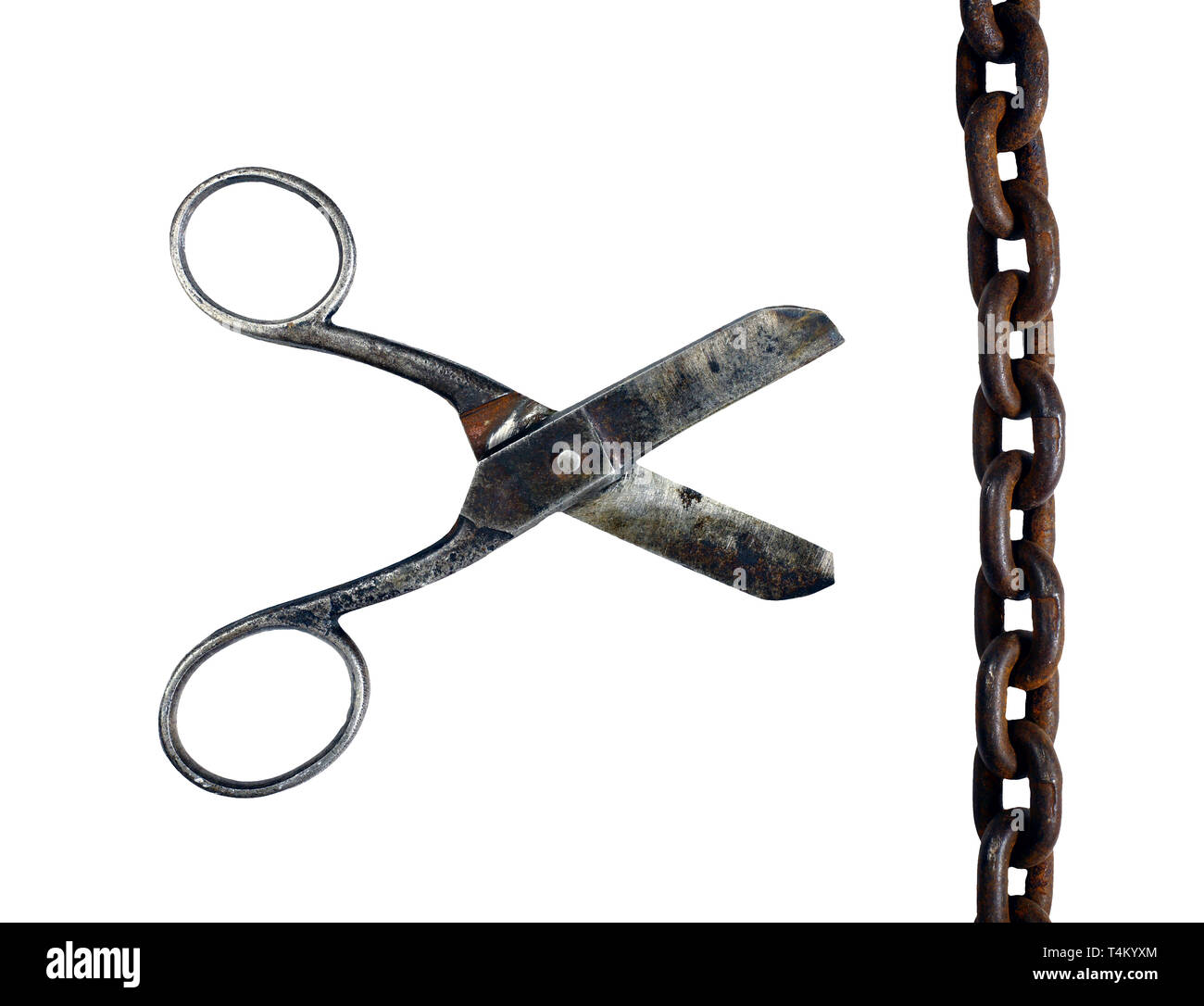 Old scissors try to cut a metal chain. Isolated on white background ...