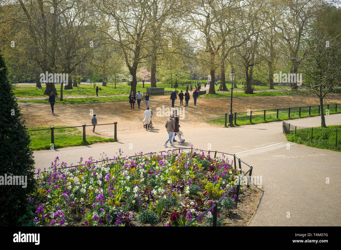 A colourful flower bed in Hyde Park. London in Spring Stock Photo - Alamy