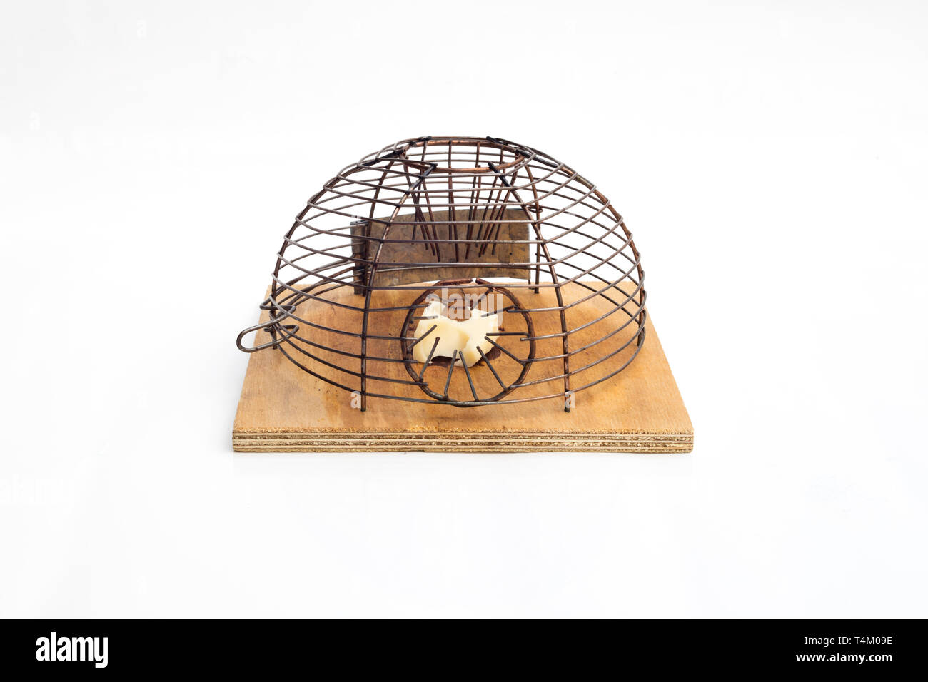 Exterminate hi-res stock photography and images - Alamy