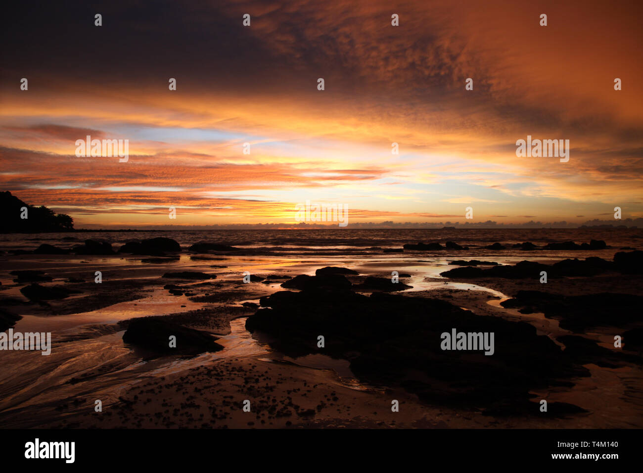 Yellow sludge hi-res stock photography and images - Alamy