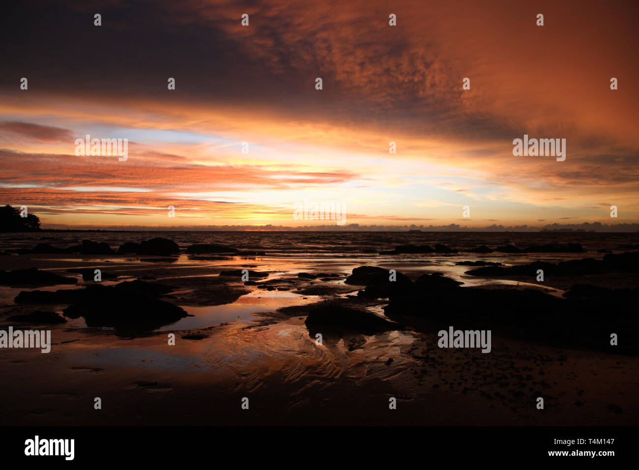 Yellow sludge hi-res stock photography and images - Alamy