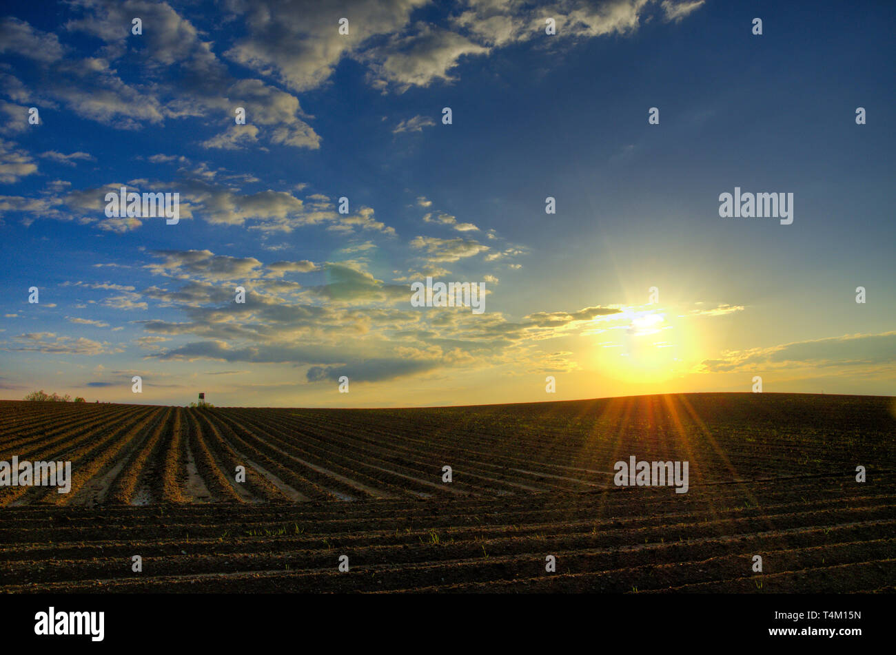 Light field hi-res stock photography and images - Alamy