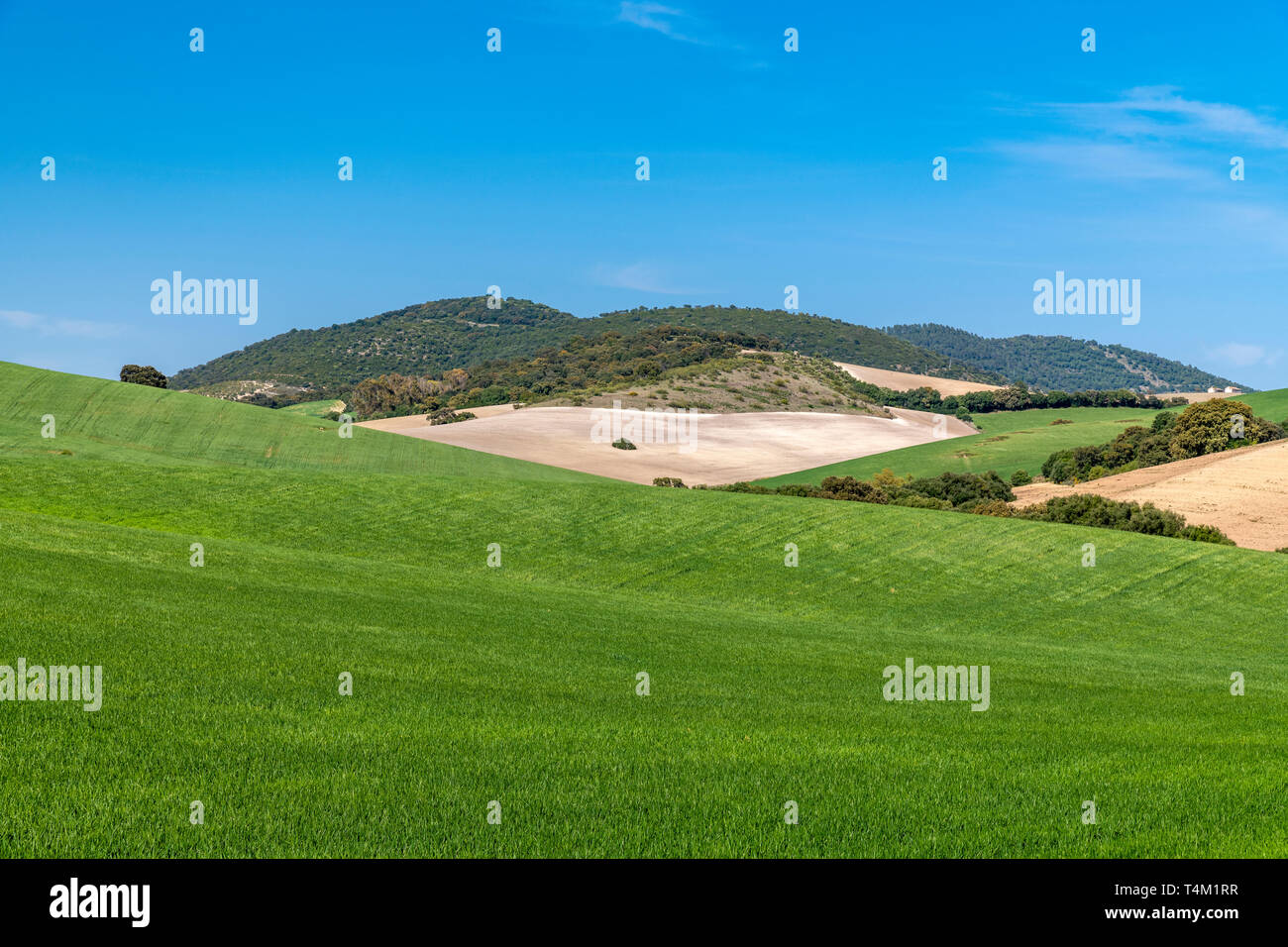 Rolling hills landscape hi-res stock photography and images - Alamy