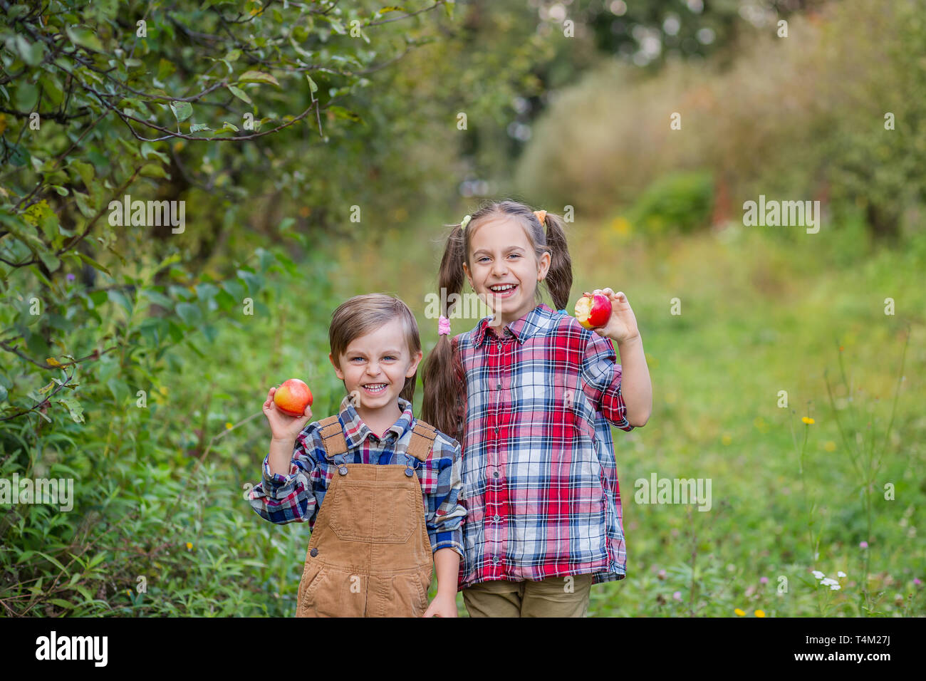 Portrait of a brother and sister in the garden with red apples in their ...