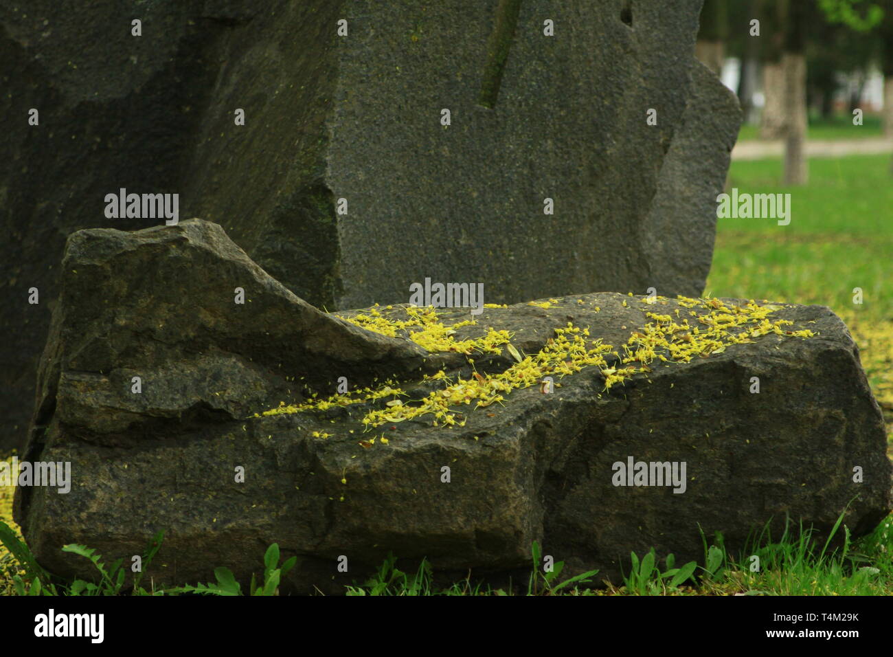 the beauty of nature and its rescue from destruction,keep nature and ...