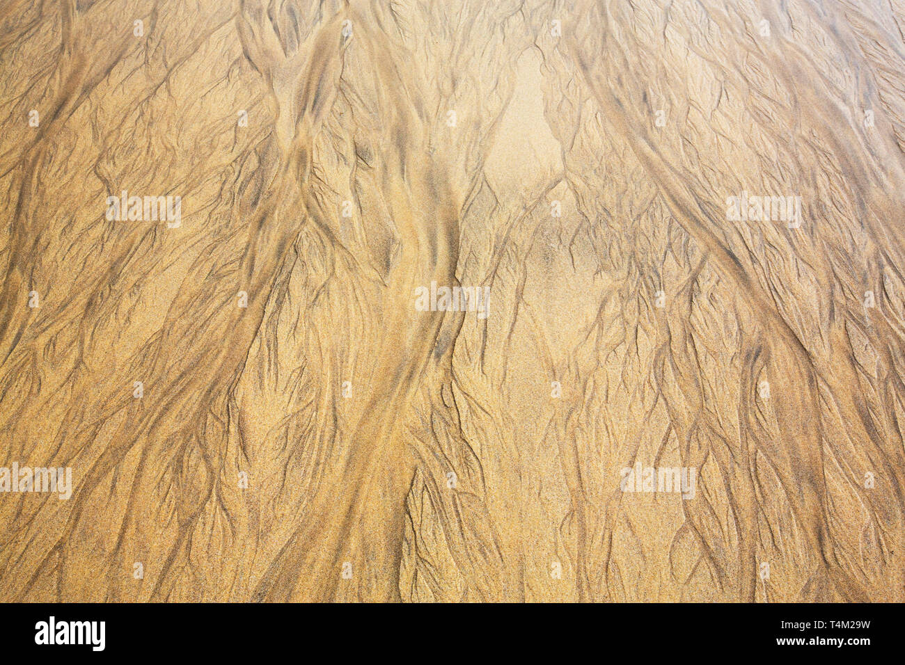 Patterns on a beach in St Ives, Cornwall, UK Stock Photo - Alamy