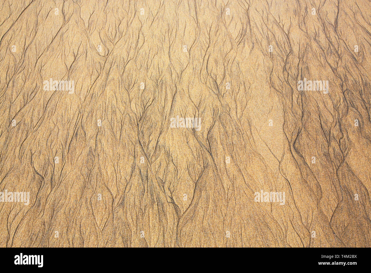 Patterns on a beach in St Ives, Cornwall, UK Stock Photo - Alamy