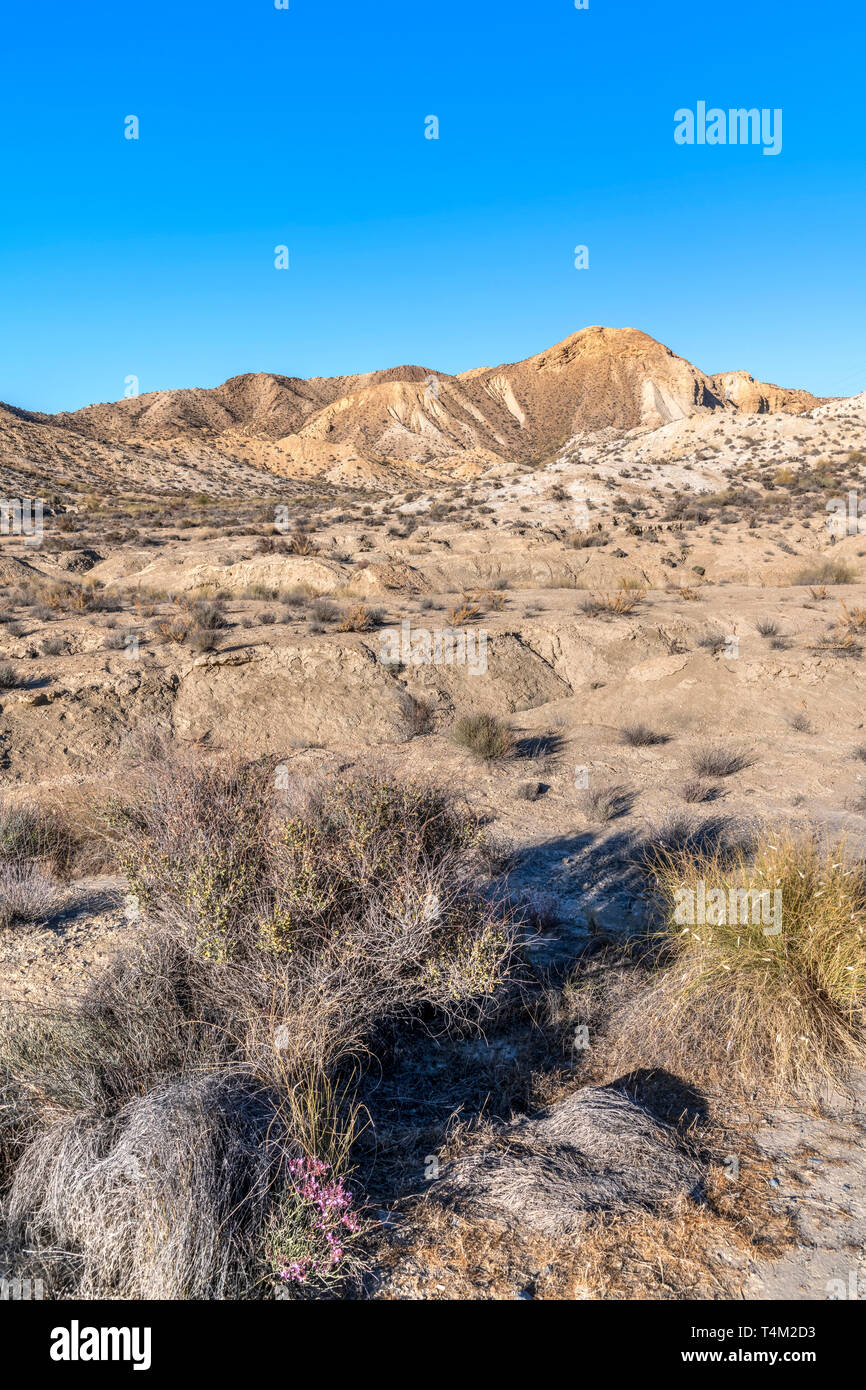 Tabernas tabernas desert tabernas desert hi-res stock photography and ...