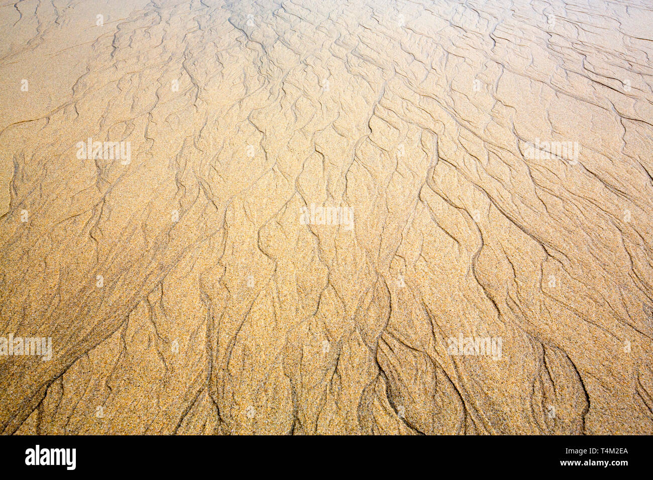 Patterns on a beach in St Ives, Cornwall, UK Stock Photo - Alamy